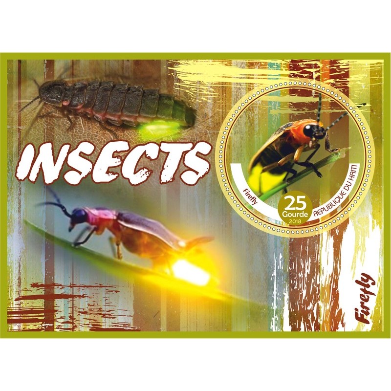 Фауна Насекомые